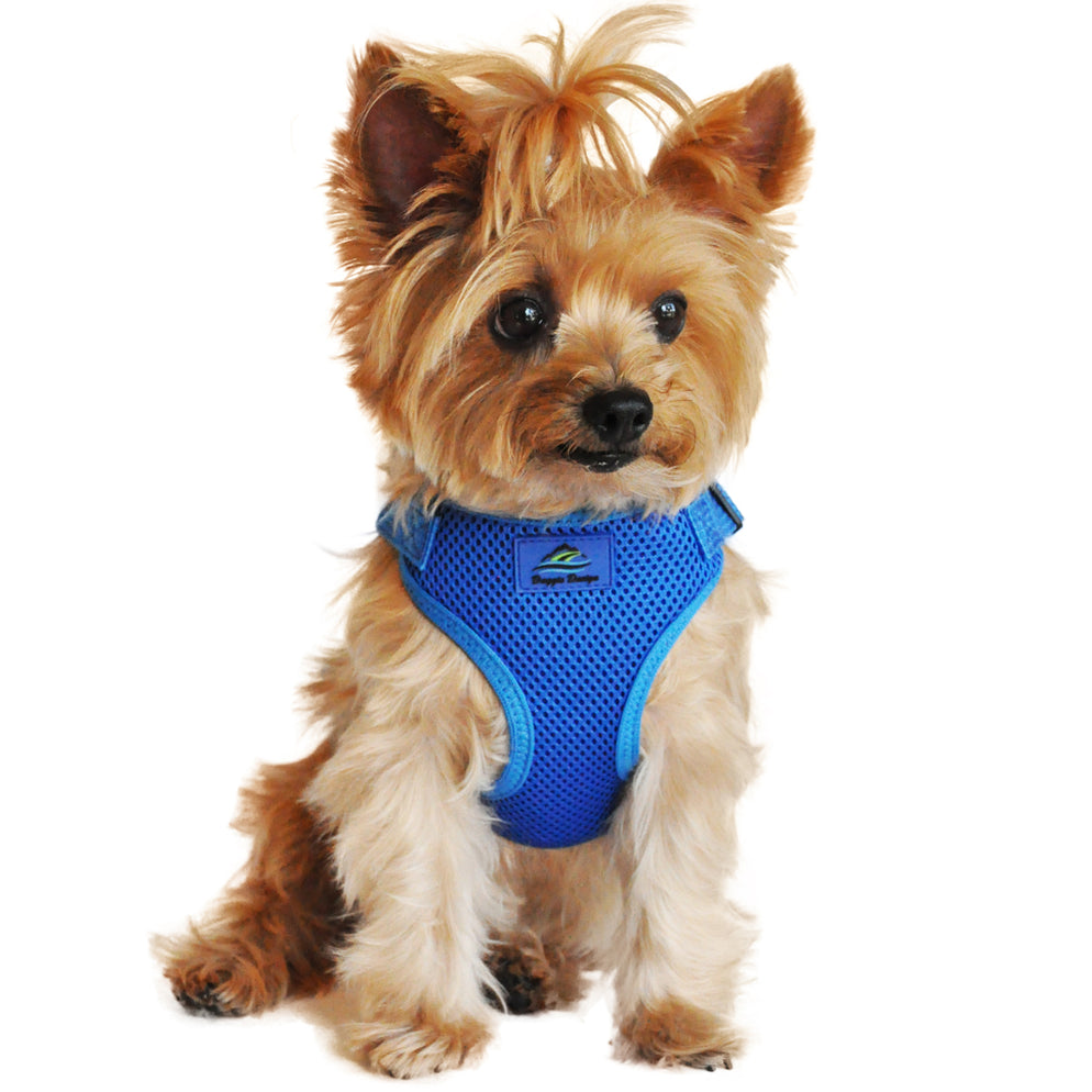 Wrap and Snap Choke Free Dog Harness by Doggie Design — Stuff For Your Dog